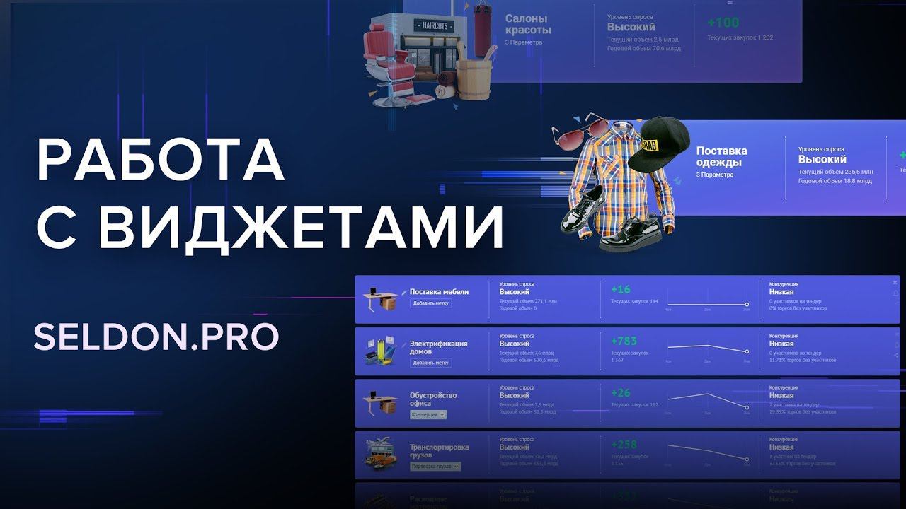 Seldon.Pro — как работать с виджетами?