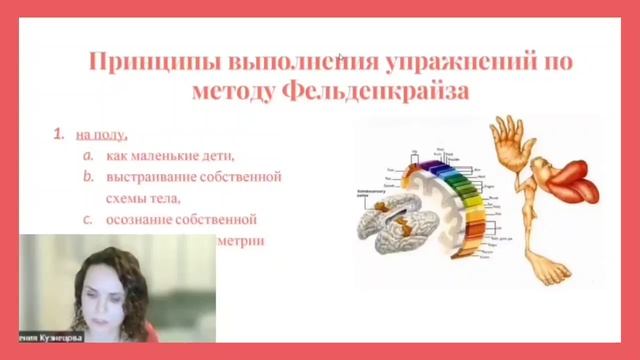 Правило выполнения №2: на полу. Метод Фельденкрайза. #feldenkrais #метод_фельденкрайза