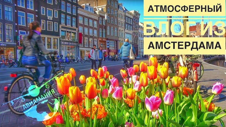 Амстердам весной | Тюльпаны | Фастфуд | #Авиамания влог по Амстердаму