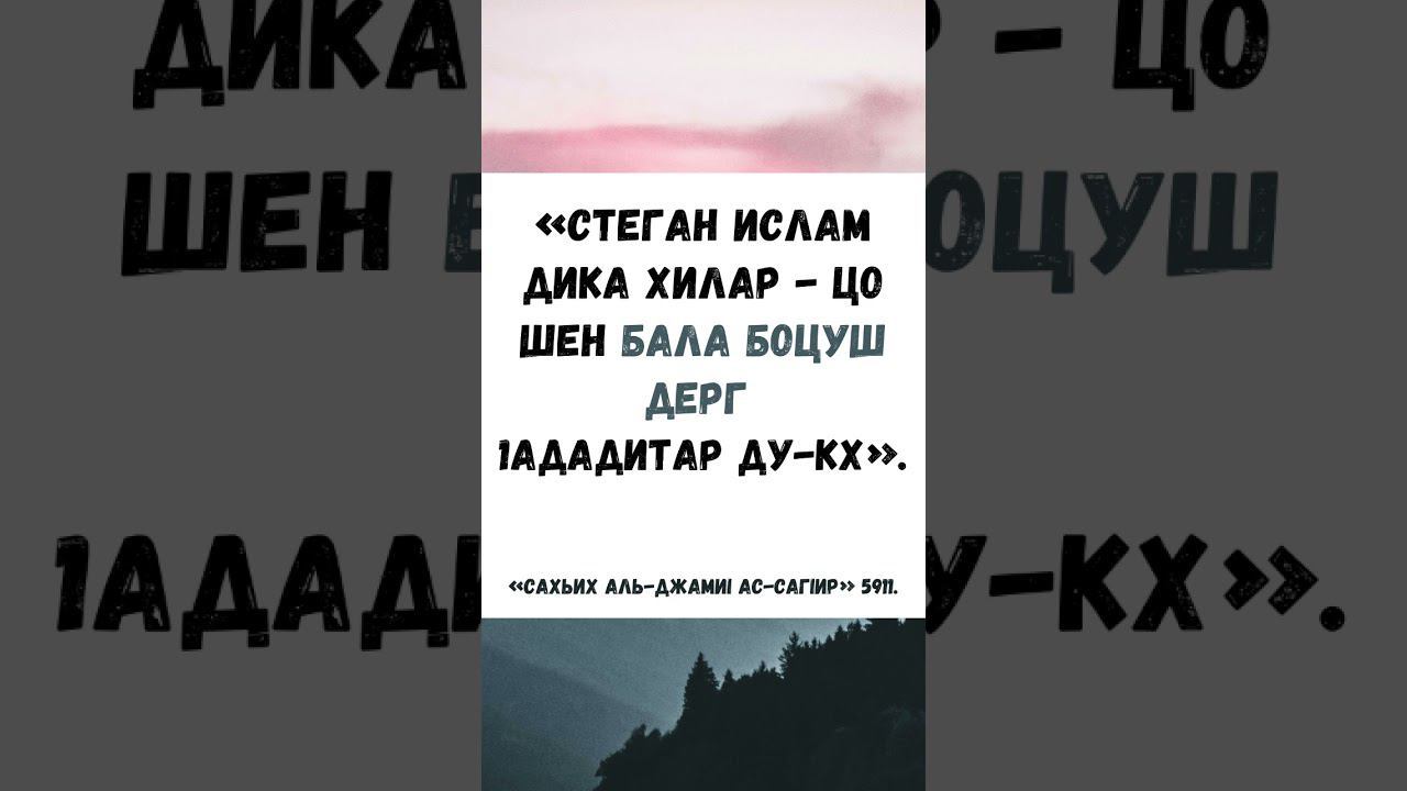 Стеган Ислам дика хилар - цо шен бала боцуш дерг lададитар ду-кх || ДИН ДОВЗАР #суннат#хьехам