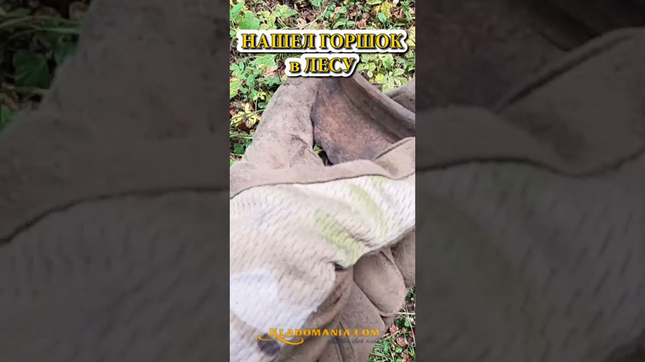 НАШЕЛ ГОРШОК в ЛЕСУ. Находки с металлоискателем XP DEUS 2. КЛАДОМАНИЯ. #shorts