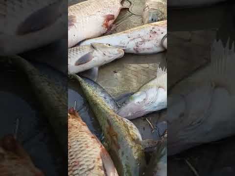 Сходили На Рыбалку Рыбалка в Дагестане