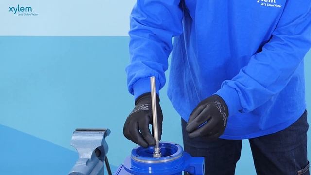 Lowara 3-5 e-SVI / Обслуживание