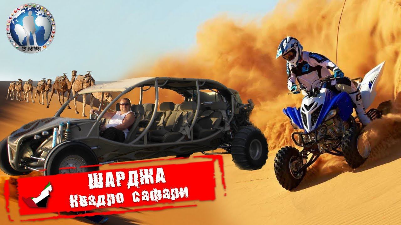Шарджа 🇦🇪 ОАЭ. Квадро Сафари. Аравийская пустыня 💯Алекс Авантюрист