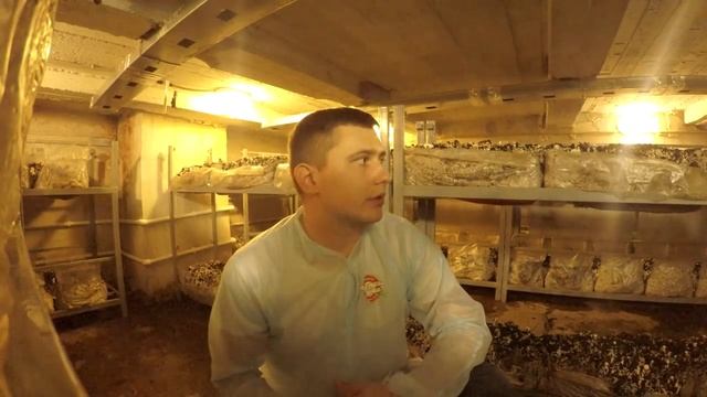 3 ВОЛНА _ ВЫРАЩИВАНИЕ ШАМПИНЬОНОВ