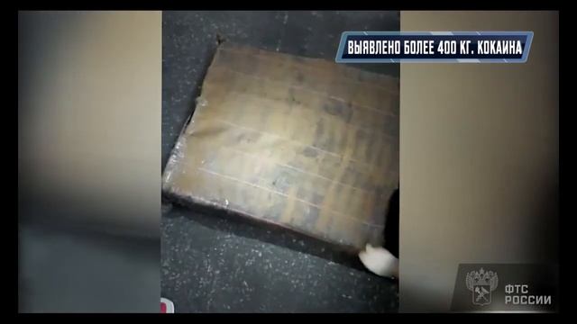 МТФ-2019. Правоохранительная деятельность таможенных органов