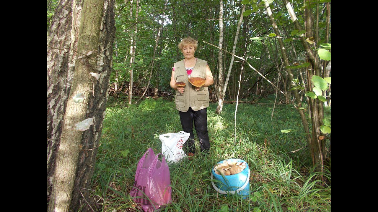 Грибной сезон