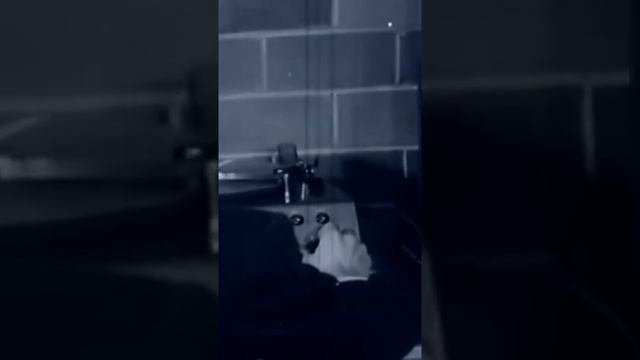 История одного экспоната. Спутник.