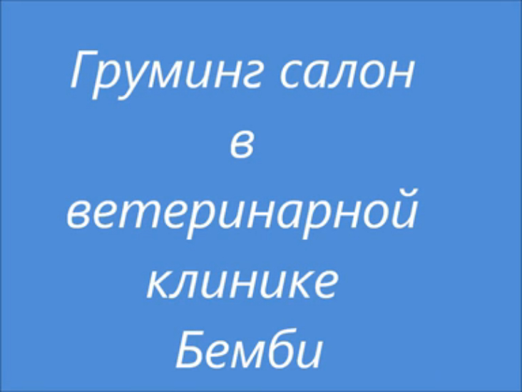 Груминг салон Бемби.