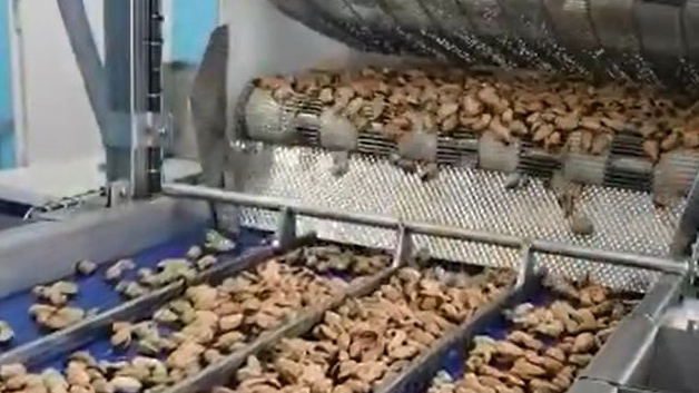 Конвейеры для морепродуктов