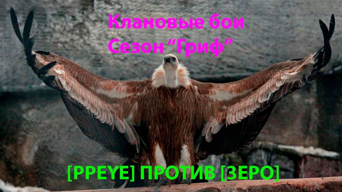 Клановые бои. [PPEYE] против [ЗEPO] Мир кораблей World of Warships