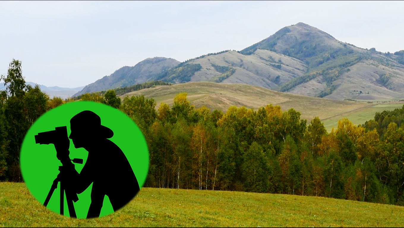 Пение птиц и стрекотание кузнечиков / Звуки природы для крепкого сна, лечения депрессии и отдыха