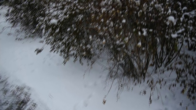 Рифат Гумеров.  Санкт-Петербург. 1-3 декабря 2016 