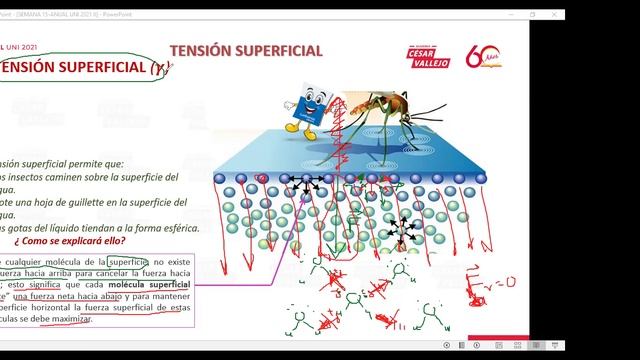 UNI Anual 2021 | Semana Química 15 Parte 01
