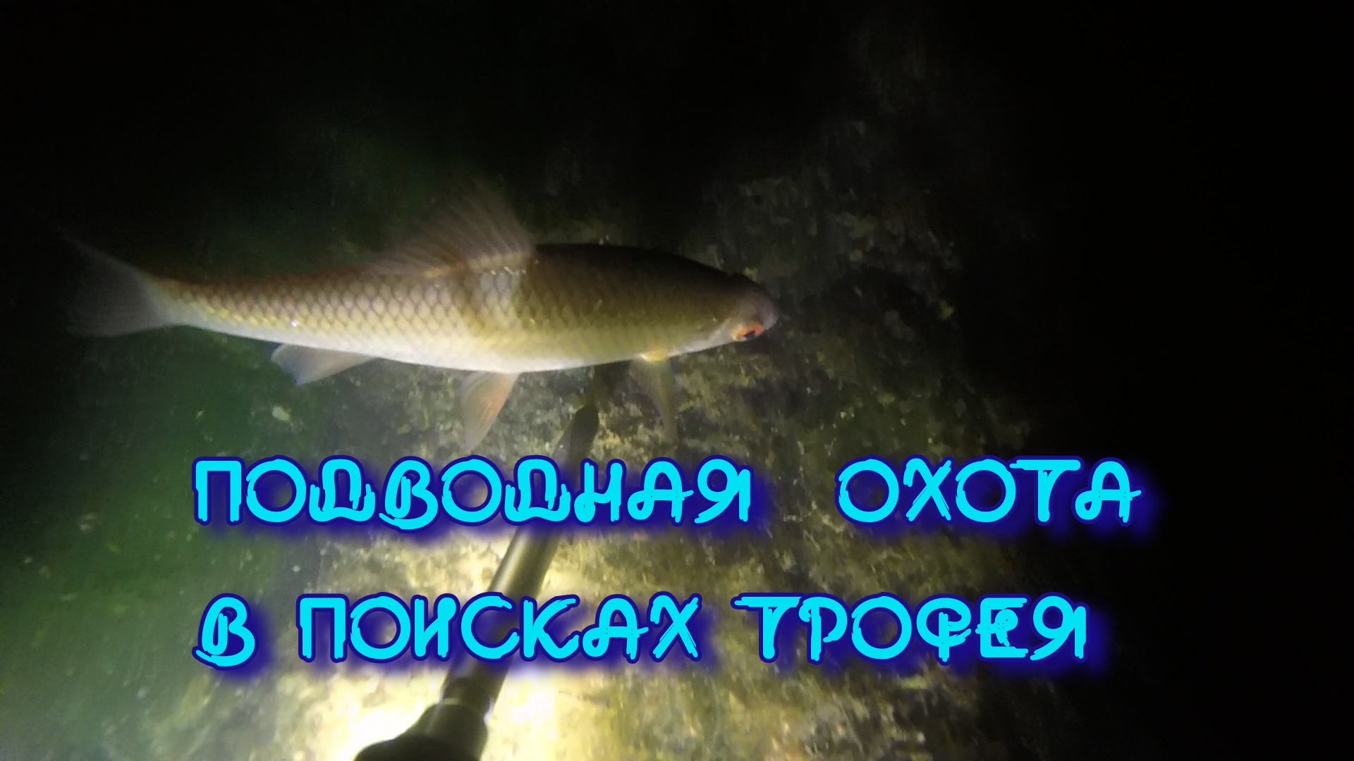 ПОДВОДНАЯ ОХОТА, В ПОИСКАХ ТРОФЕЯ, ОЗЕРО, ЖИЗНЬ В ДЕРЕВНЕ