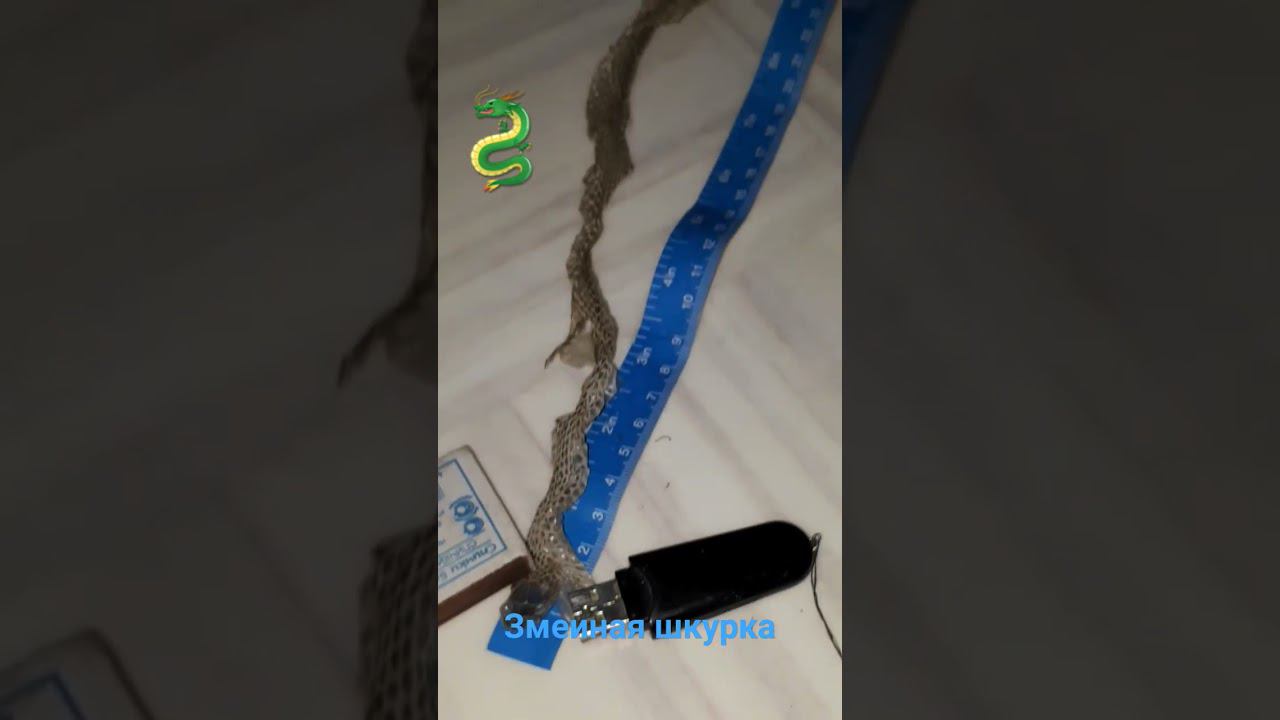 Змеиная шкурка  11 января 2024 г.