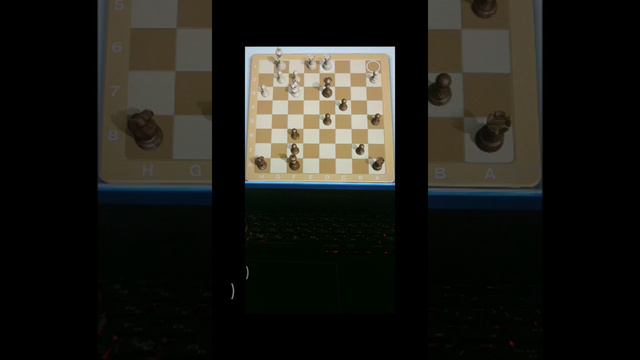 Шахматы. Нелёгкая победа