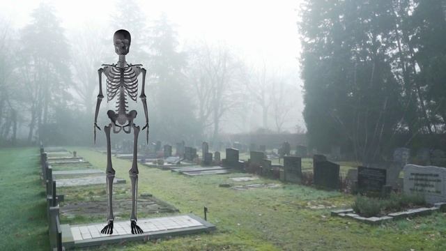 ПРОЕКТ ARCHiVARiUS-The White Stripes-Seven Nation Army(Acoustic guitar cover)