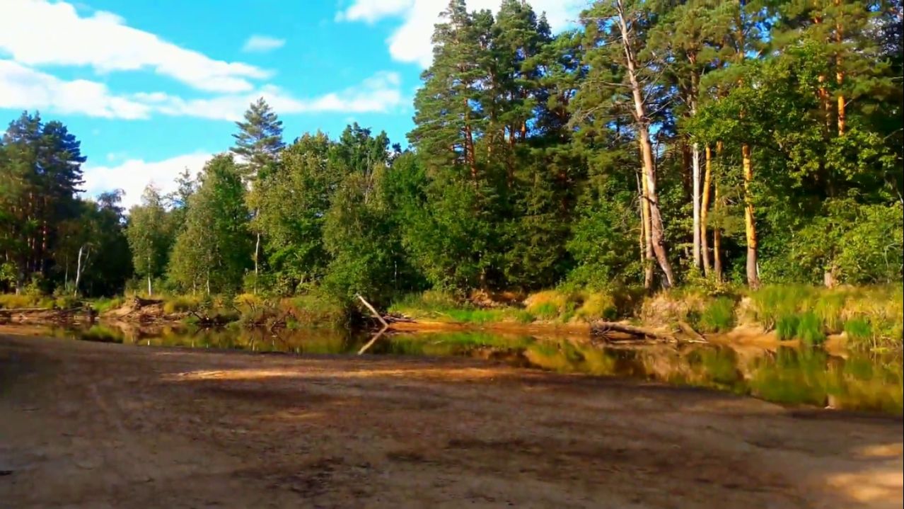 РЕКА ПРА ДОРОГА ПО БЕРЕГУ 2022.09.04