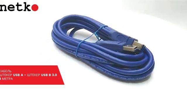 55155 Кабель штекер USB A - штекер USB B 3.0 (3м), синий, блистер, Netko