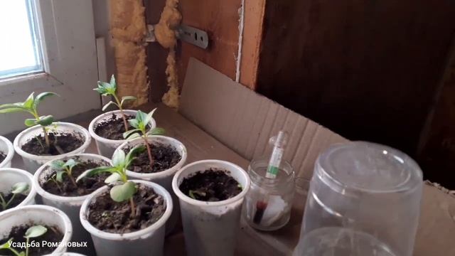 2021г.Обзор хозяйство,январь.