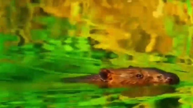 # старославянские приметы # сентябрь #