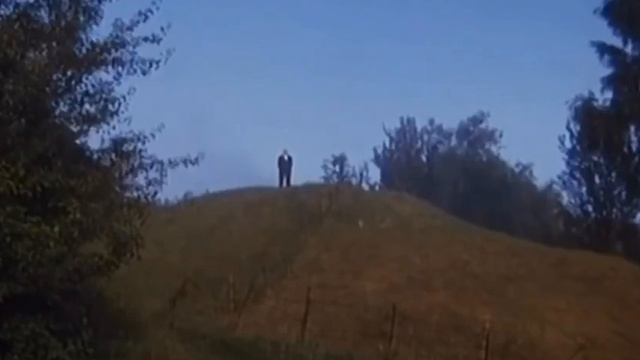 Мудрые слова