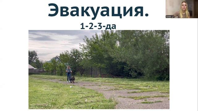 Возбудимые собаки. Веб. Часть 2
