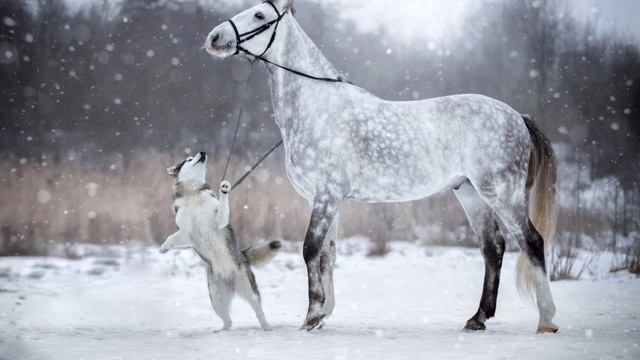 Ой мороз,мороз