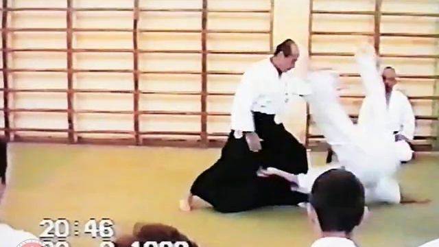 Боковой рубящий удар в голову - замок локтя - бросок боковым входом в Ёсинкан Айкидо