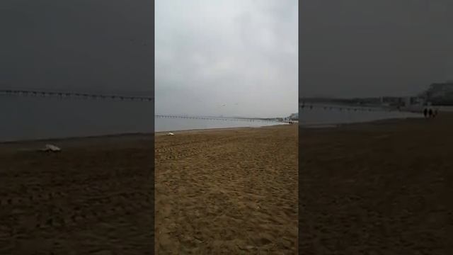 Дождь Чайки Море.mp4