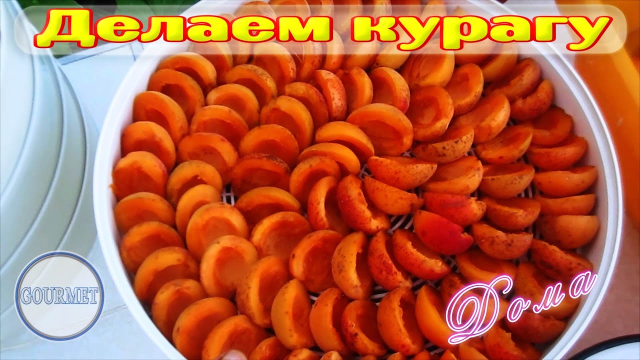 Как делать курагу дома. Сушеный абрикос рецепт на длительное хранение.