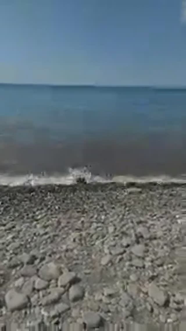 Море. Семейные темы в прямом эфире!