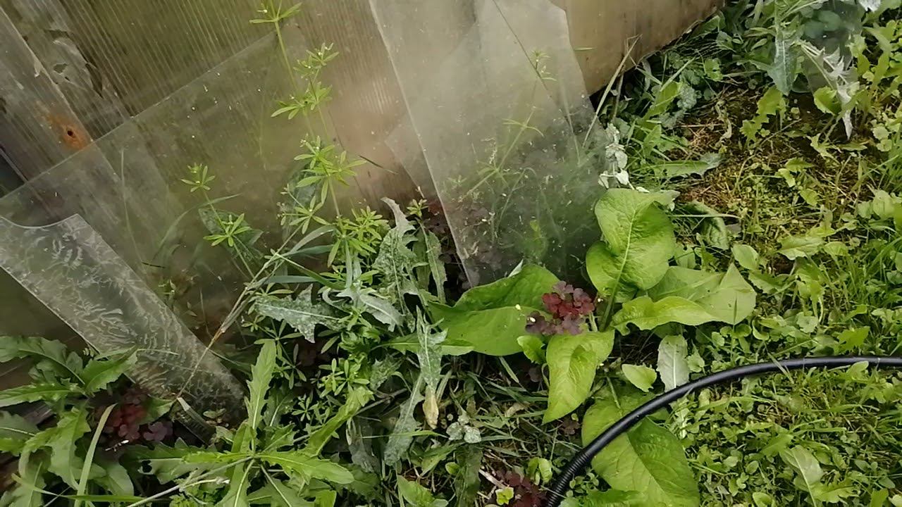 видео от 23.08.21