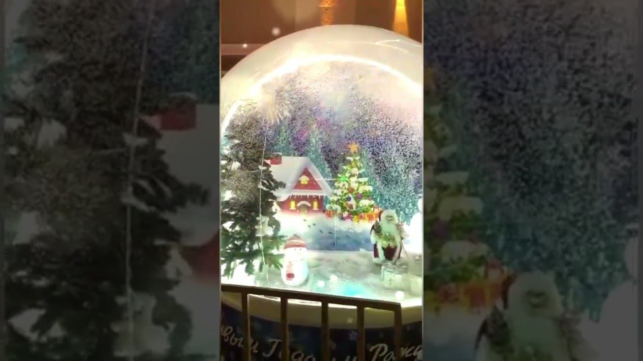 Волшебная фотосфера Чудошар #shorts #shortvideo #funny #новыйгод #miracle #wow