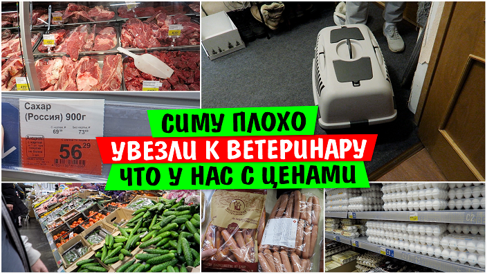 Симу плохо увезли к врачу / Что у нас с ЦЕНАМИ / Магазины и ЦЕНЫ на СЕВЕРЕ / Vika Siberia LifeVlog