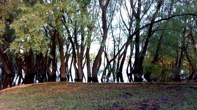 красивое место для фотосессии в Великом Новгороде, дикий пляж