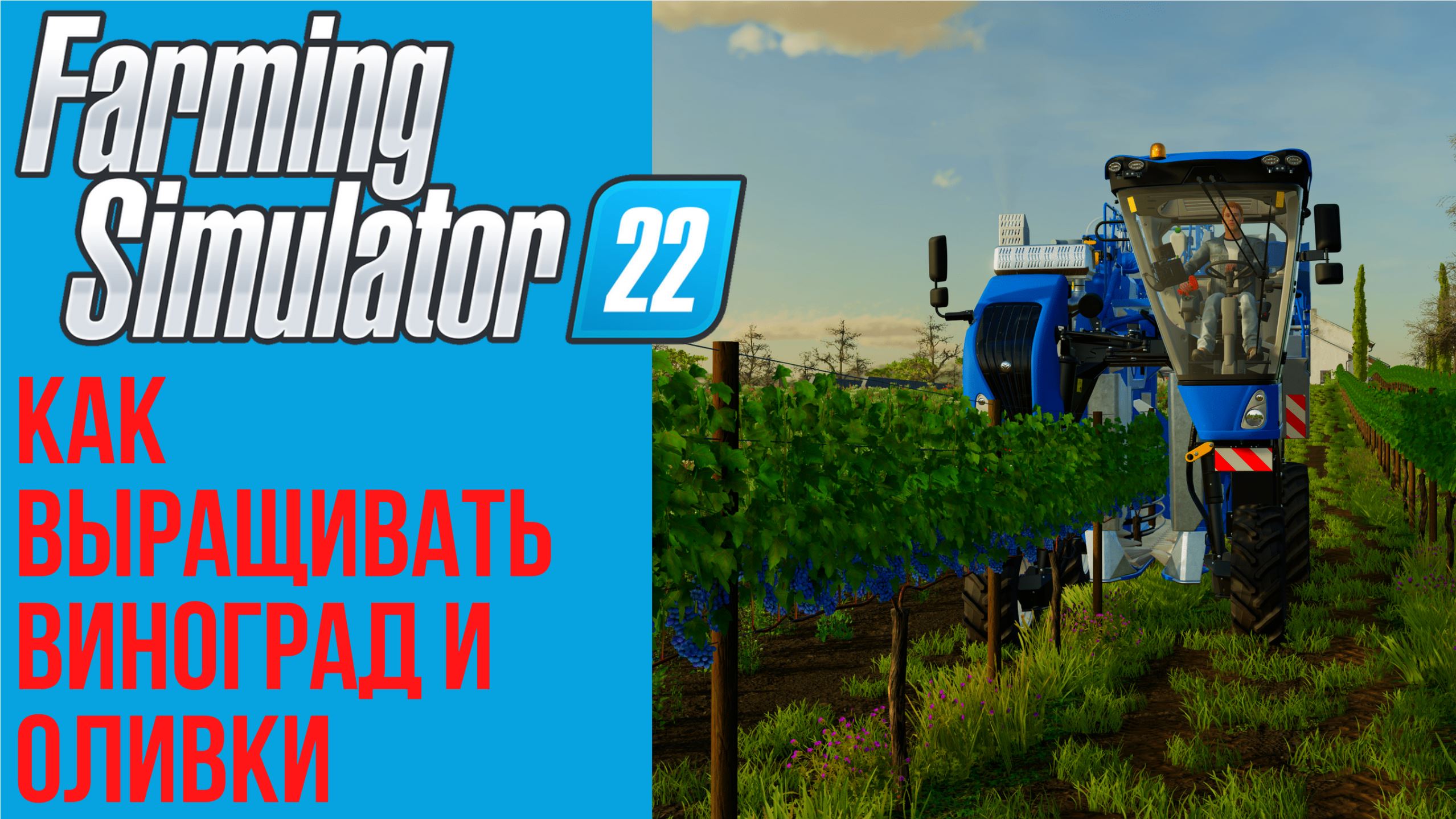 ? Всё о винограде и оливках в Farming Simulator 22