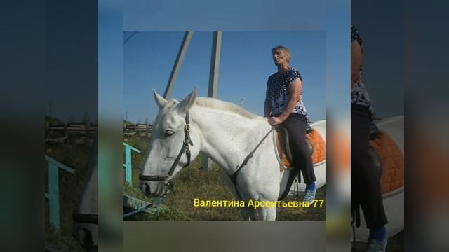 Экскурсионное бюро 60+