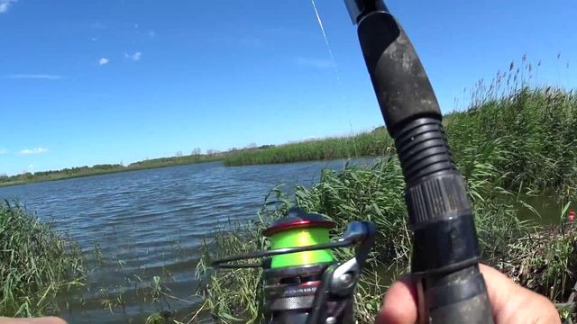 РЫБАЛКА НА КАРАСЯ 2022