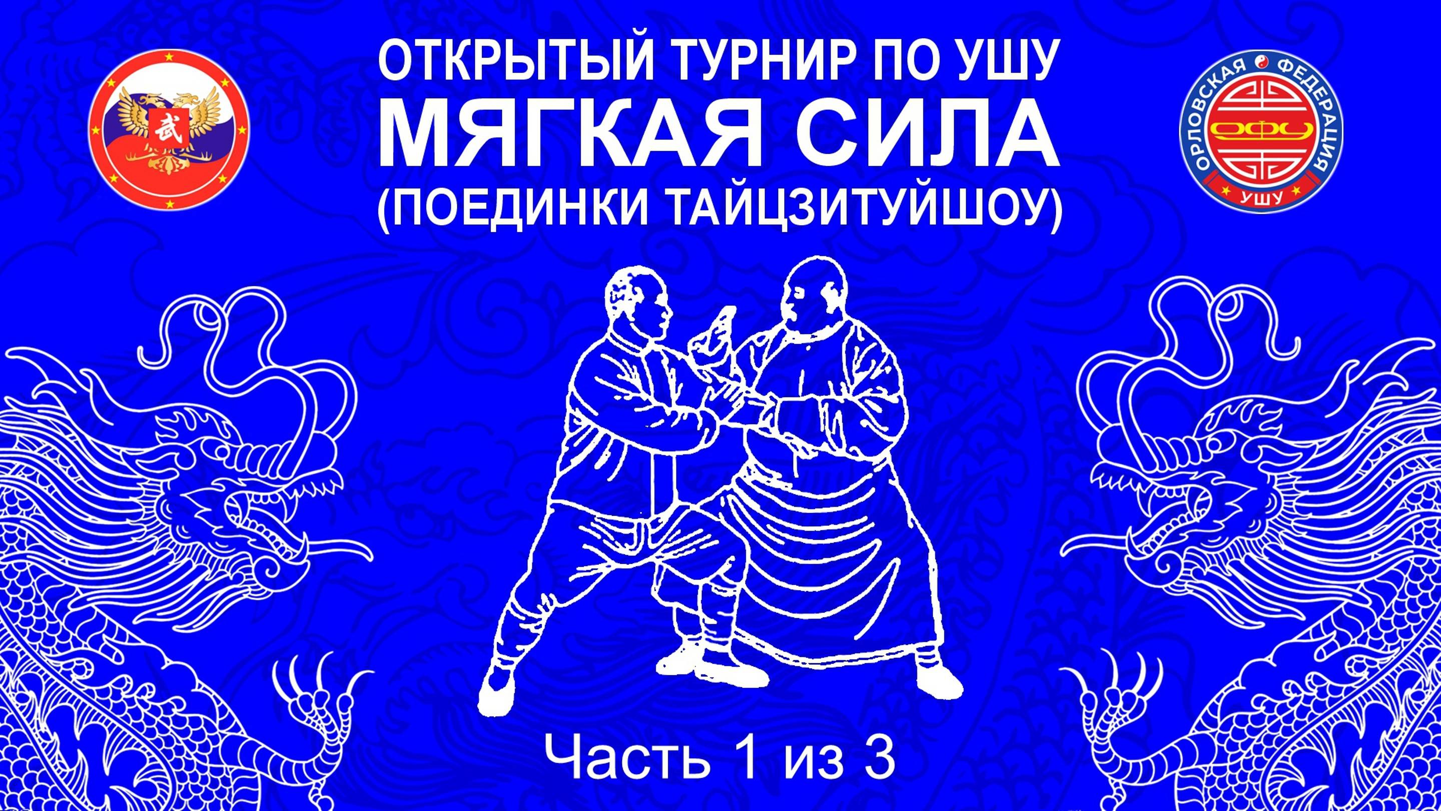 Турнир по ушу "Мягкая сила" 2024 года (поединки тайцзитуйшоу). Часть 1 из 3