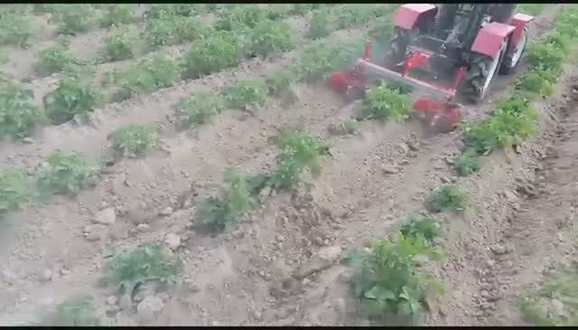 МинитракторМТ-110. ОКУЧИВАЕМ КАРТОФЕЛЬ
Видео от нашего покупателя Владимира д.Высокое г.Сафоново