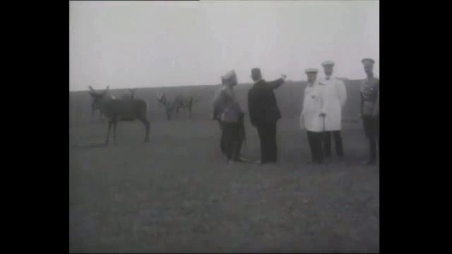 Кинохроника. Таврида. Заповедник Аскания-Нова. 1914 год. Визит Николая II. Tavrida. Askania Nova