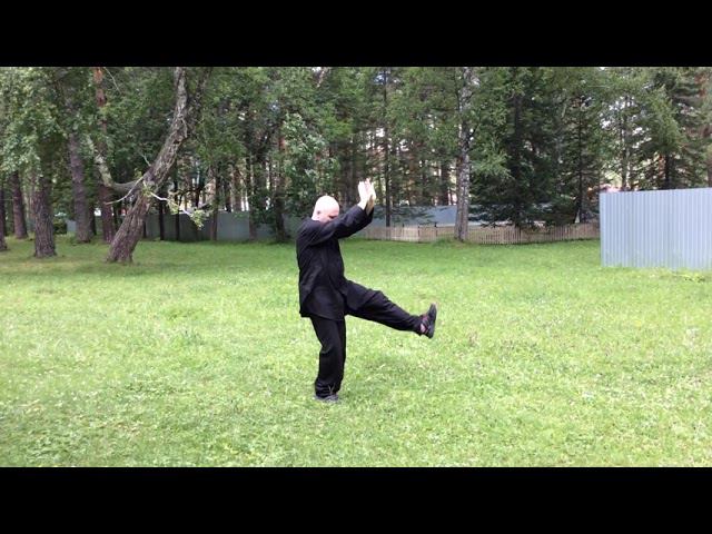 Перейти брод, ломаный шаг. Чэньши Тайцзицюань. Позиция 9/83.