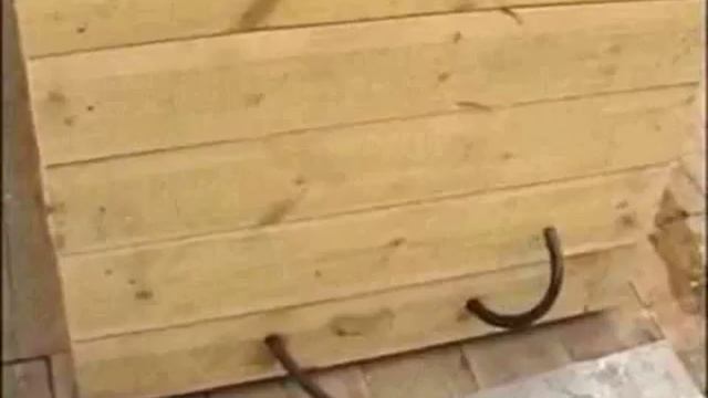 ЭМ технология.mp4