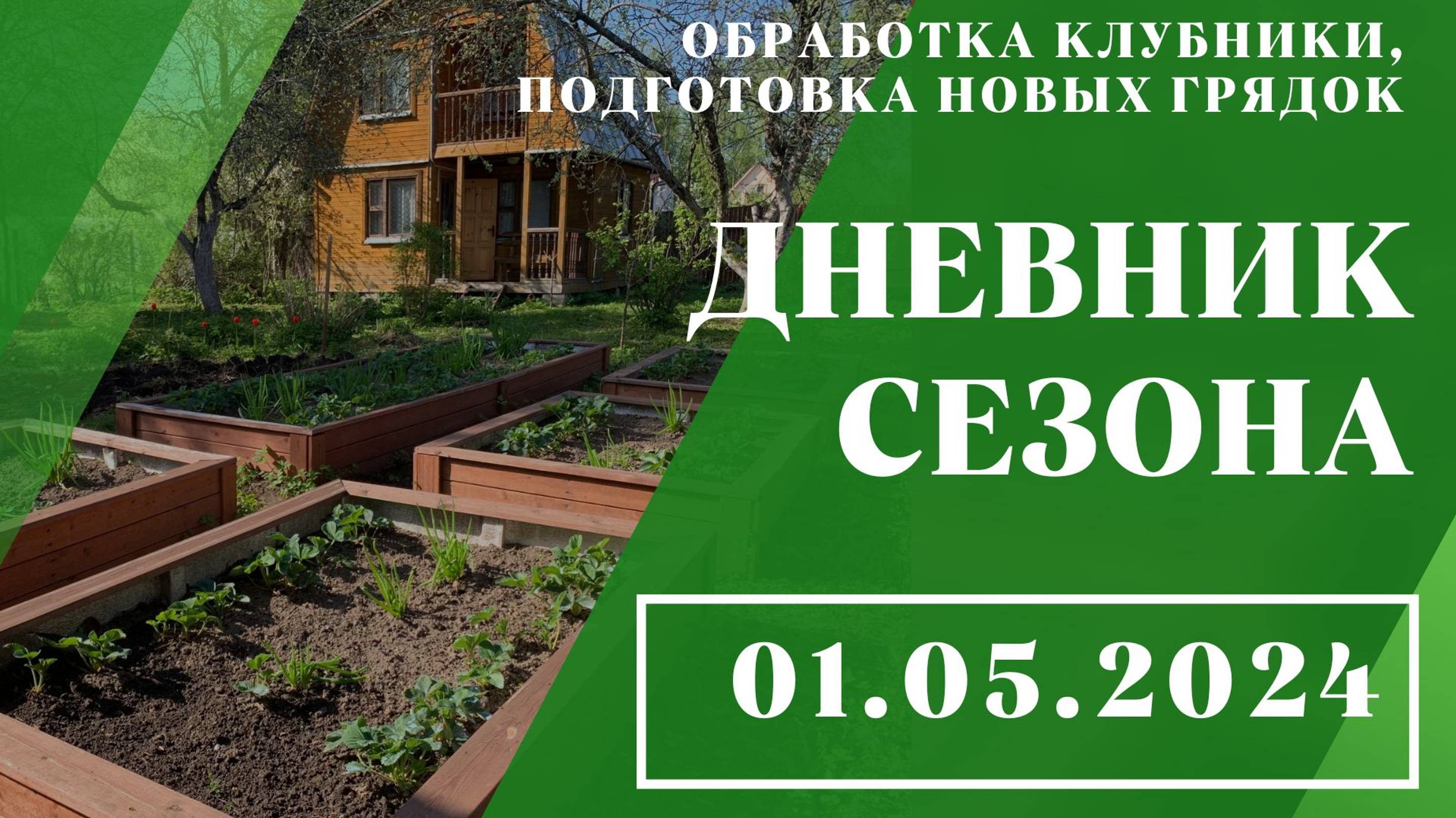 Обработка клубники, подготовка новых грядок // 01.05.2024
