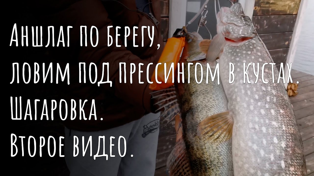 Рыбалка в праздник. Аншлаг по берегу, ловим под прессингом в кустах. Шагаровка. Второе видео.