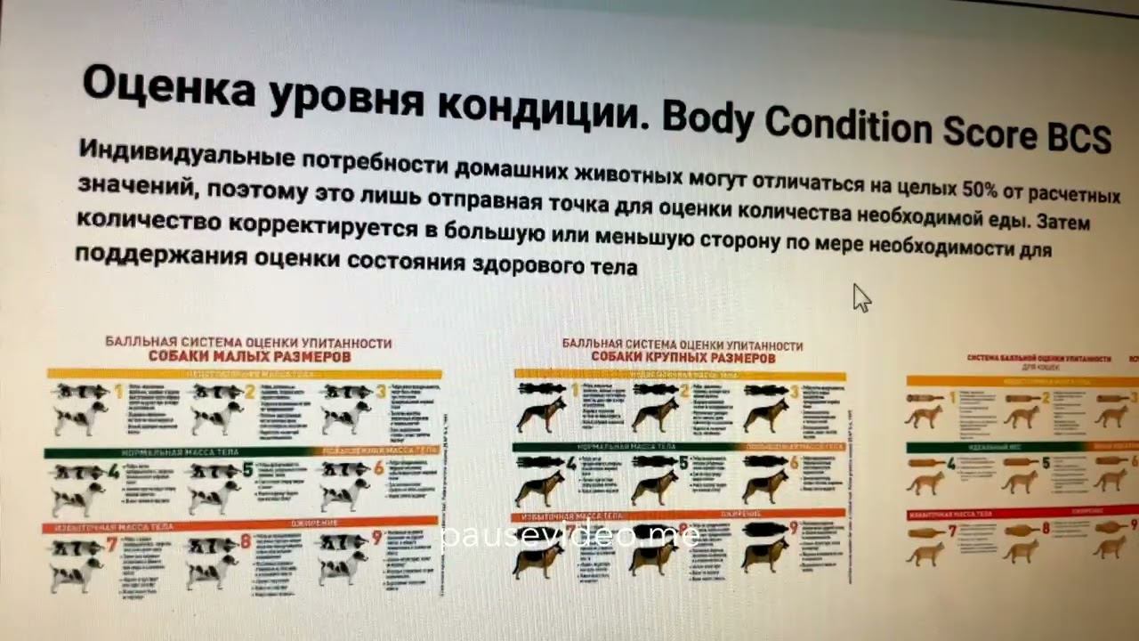 Нормы корма на пачке-соблюдать строго?