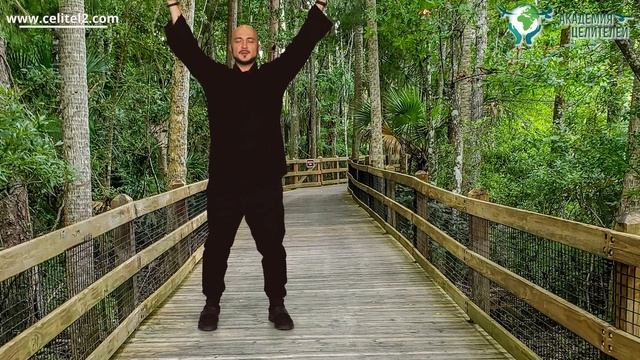 Как остановить внутренний диалог. Дыхательное упражнение комплекса цигун. К. Перо Академия Целителей