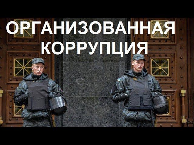 Обращение к Путину. Как быть патриотом в государстве, которое с коррупцией борется только на словах?